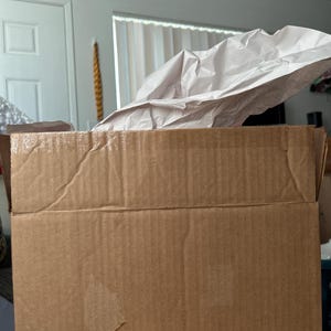 Conjoined Twins Human Skull FREE SHIPPING - Etsy