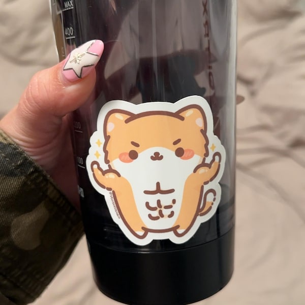 Please Handle With Love FRAGILE Sticker Cat Meme Stickers Kawaii/funny ...