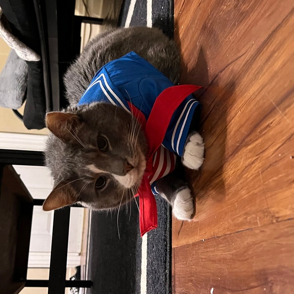 Stranger Things steve Dog Costume name Tag and Hat Sold Separately - Etsy