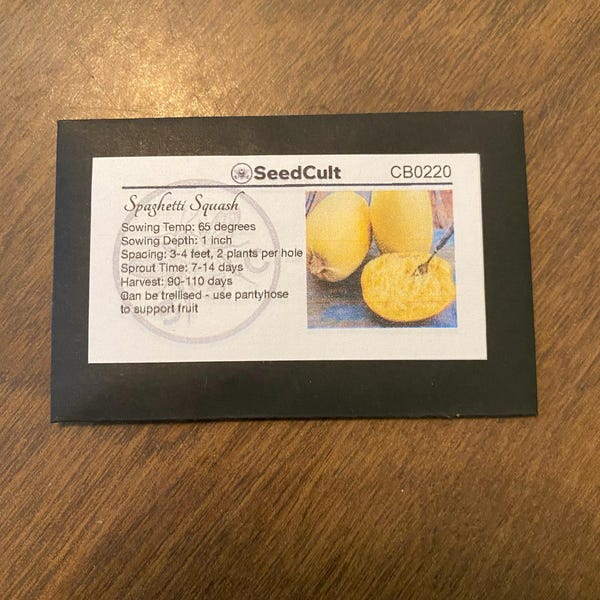 Astrantia Major Rose Symphony Seeds, Masterwort, Hattie’s Pincushion ...