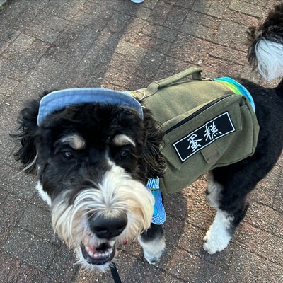 EMBROIDERED Name Tag Patches Custom Name Tag Iron on & - Etsy