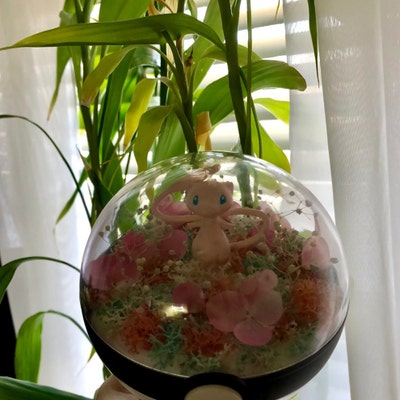 Floral Pokemon Terrarium - Etsy