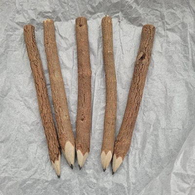Twig Pencil, Rustic Tree Branch Pencil, Pencil Party Favor, Rustic ...