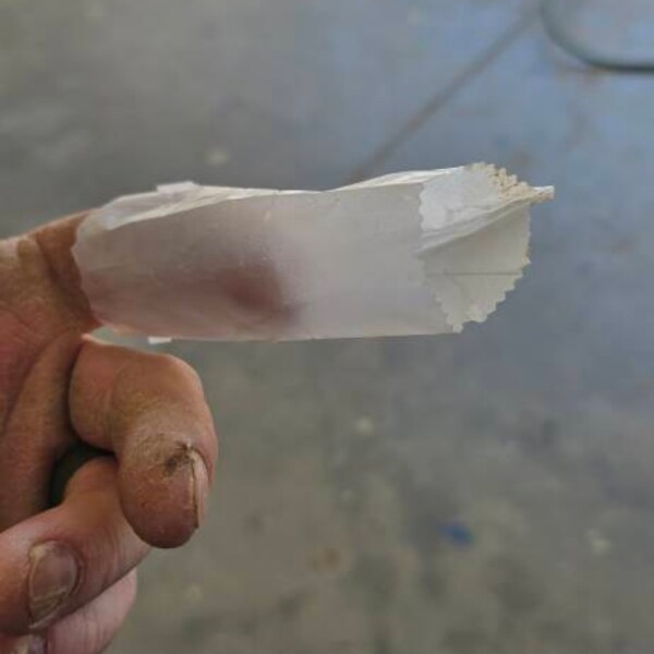 Queen Anne's Lace 'green Mist ' 50/pkt - Etsy