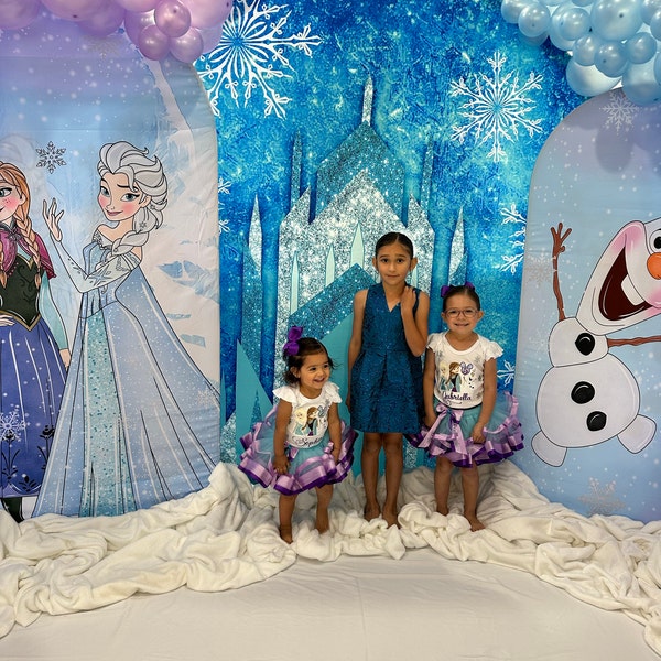 Winter Frozen Birthday Party Decoration Arch Backdrop Cover,princess ...