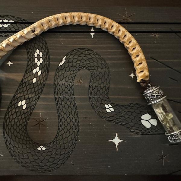 Necromancer's Pendulum, Snake & Toad Bone - Etsy