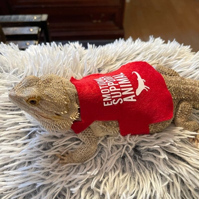 Bearded Dragon Candy Corn Costume Sweater Halloween Lizard - Etsy