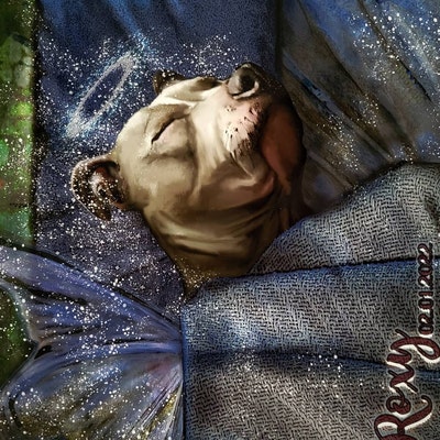 Pit Bull Pitbull Angel Wings Pitty Amstaff Angel Pet Memorial Rainbow ...