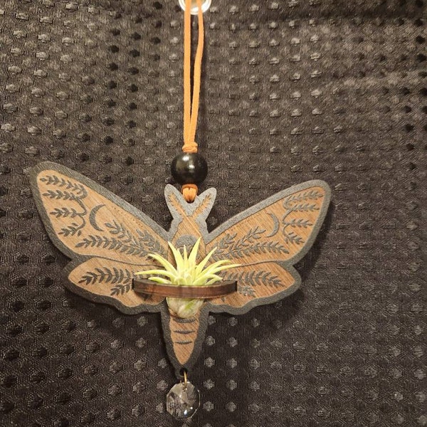 Celestial Moth Airplant Holder Fridge Magnet Hanger Stars Moon Home ...