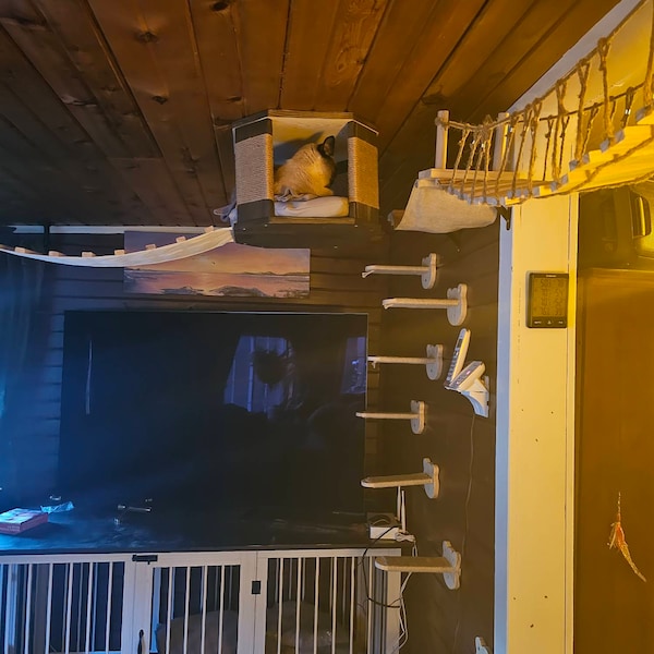 Cat Ceiling Furniture, Wooden Cat Bed, Cat Ceiling Bed, Wood Cat ...