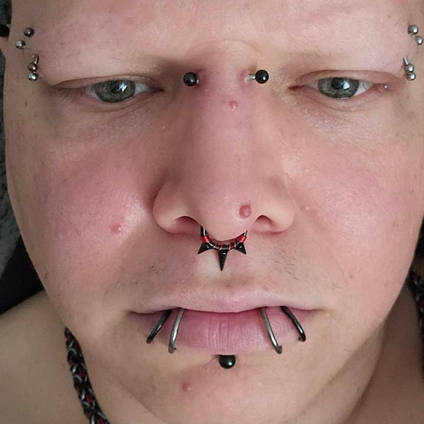 Large Spike Bridge Piercing, 14g Internally Threaded Straight Barbell ...