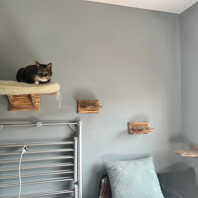 Large Wall Mounted Floating Cat Perch Bed With Pillow and Paw Shape ...