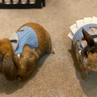 Denim Jacket Harness for Only Rabbit/bunny - Etsy