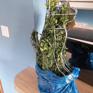 Handmade Topiary Rabbit Frame for Plants Perfect for the Budding ...