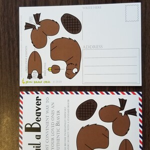 Beaver Postcards, Set of 8 "mail a Beaver" Postcards - Etsy