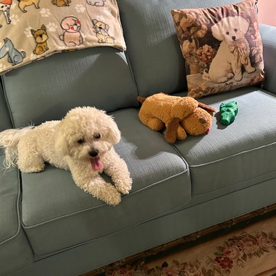 Whimsy Puff Hedgehog Pillow, Cottagecore Charm, Sage Floral Hedgehog ...