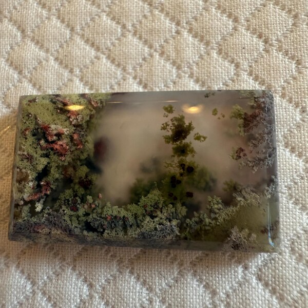 Petrified Wood Slab Size 83x87x6,6 Mm for Lapidary Unpolished - Etsy