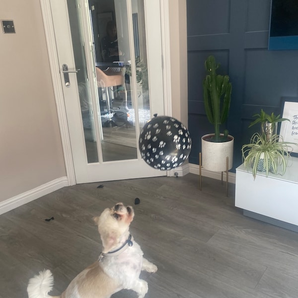 10/100 LED Battery AA Operated String Fairy Lights Xmas Christmas New ...