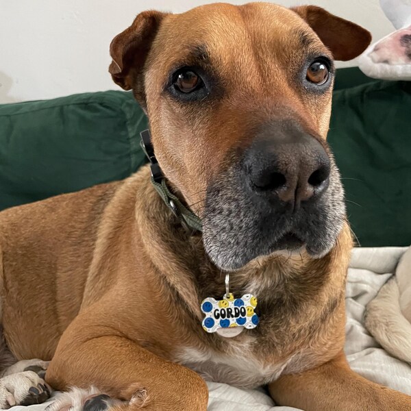 Pet ID Tag Pink Love Dog Name Tag Custom Dog Tag Personalized Pet Tag ...