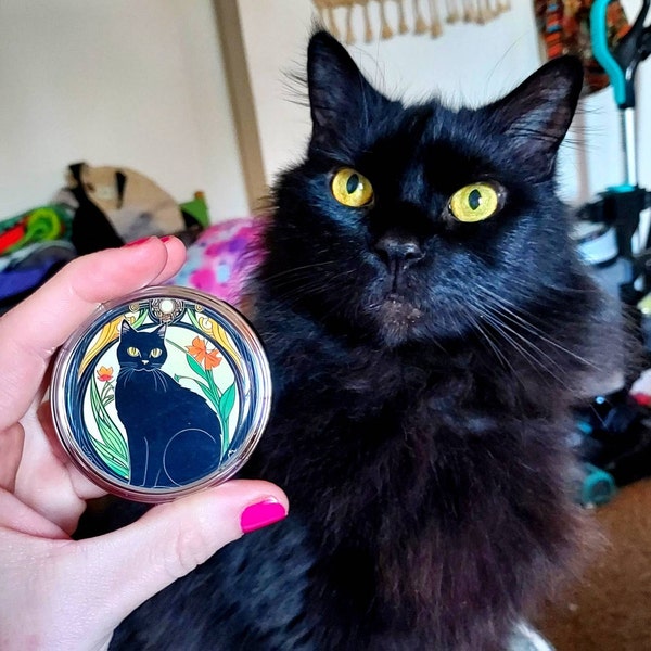 Art Nouveau Black Cat Pill Box Case Pillbox Holder Trinket Vintage Deco Animal Art - Etsy