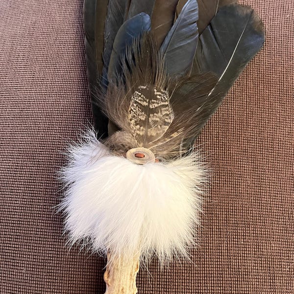 10" to 11" River Cooter Turtle Shell (1077-1011) Y3K - Etsy