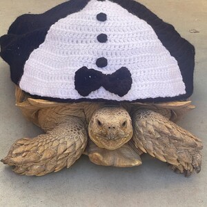 Crab Inspired Crochet Costume for Turtles/ Tortoises - Etsy