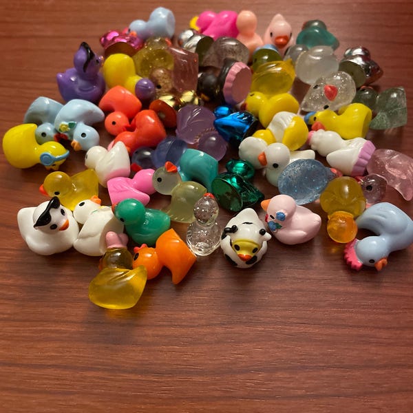 Tiny Ducks: Unique Mystery Bulk Set - Etsy