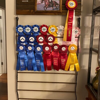 Personalized Show Ribbon Display - Etsy
