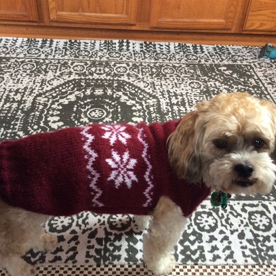 Personalized Dog Sweater With Initials Dog Clothes With - Etsy