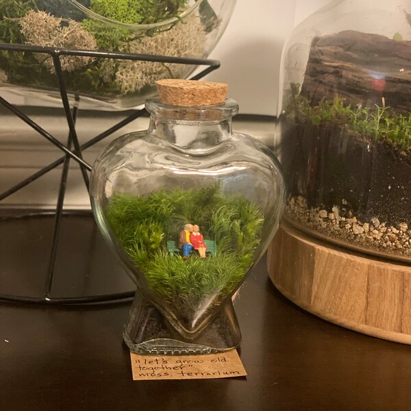 Moss Terrarium “tiny Ireland” - Etsy