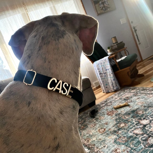 Personalized Dog Collars With Metal Letter Name, Female Dog Collars ...