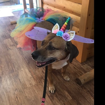 Girl Stocking Stuffer School Supplies Bag Girls Personalized Unicorn ...