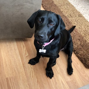 Black Calligraphy Personalized Dog Tag, Custom Dog Tag, Double Sided ...