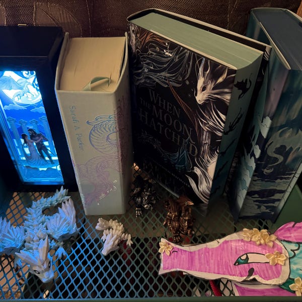 Lightning Wielder Page Overlay - Officially Licensed Fourth Wing the ...