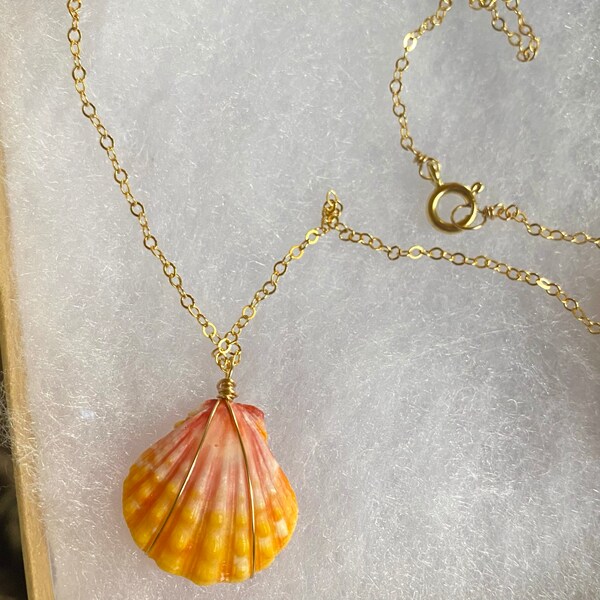 RARE Sunrise Shell Necklace quarter, Gold Fill Necklace, Sunrise Shell ...