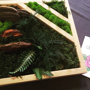 Moss Wall Art Hanging Frame - Etsy Canada