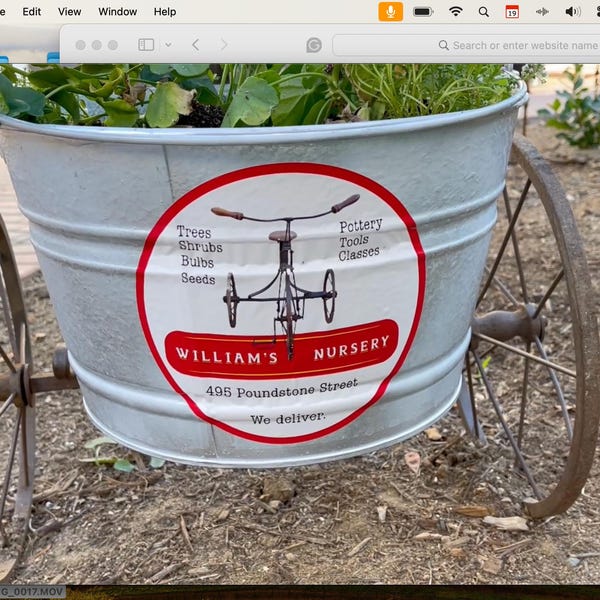 Storefront Decals Business Window Graphics Custom Vinyl Decals ...