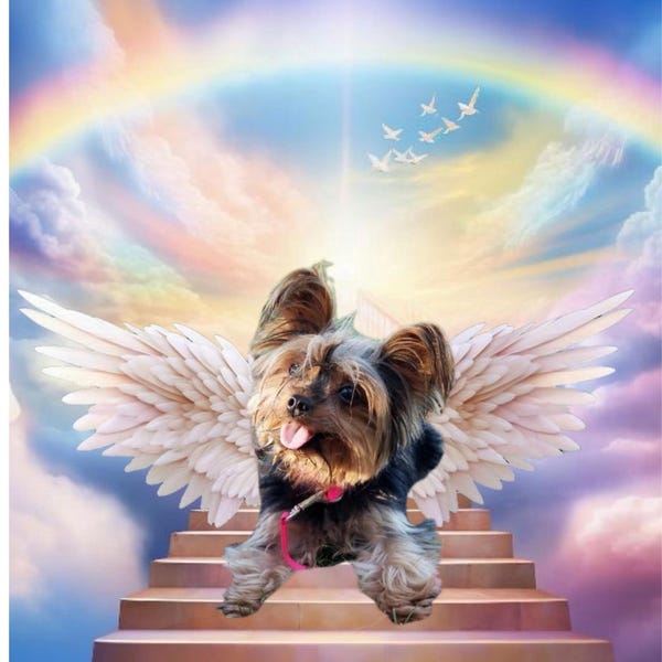 Personalized Rainbow Bridge Pet Memorial DIGITAL DOWNLOAD Pet Loss Gift ...