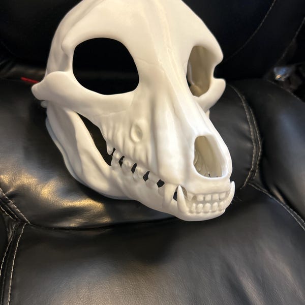 Raven Bird Skull Corvus Bone Skull Mask - Movable Moving Hinge Jaw- 3D ...