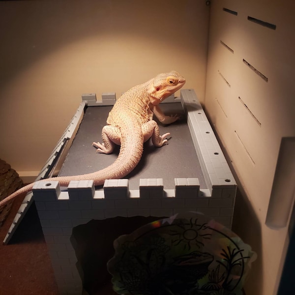 Bearded Dragon Castle Basking Spot Slate Topped Reptile Perch Reptile ...