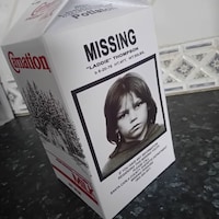 Lost Boys Replica "laddie Thompson" Milk Carton Horror Prop - Etsy Canada