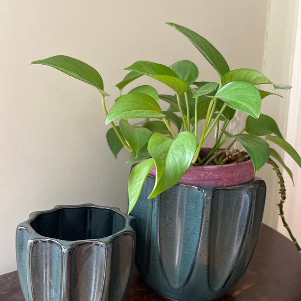 Green Behemoth Ceramic Planter Pot. Unique Pattern. Indoor Outdoor ...