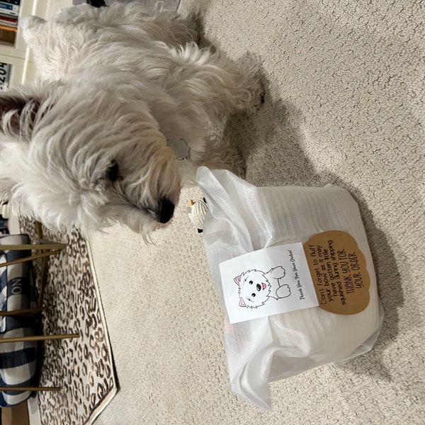 Hand Painted Rock West Highland Terrier Westie Dog Mom Gift, Stone Art ...