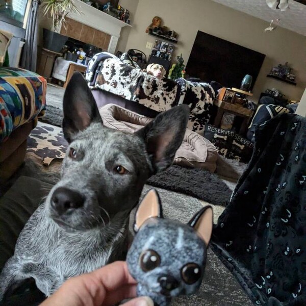 Custom Australian Cattle Dog Figurine, Heeler Art, Queensland Heeler ...