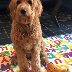 Samosa Plush Chew Toy for Pets - Etsy