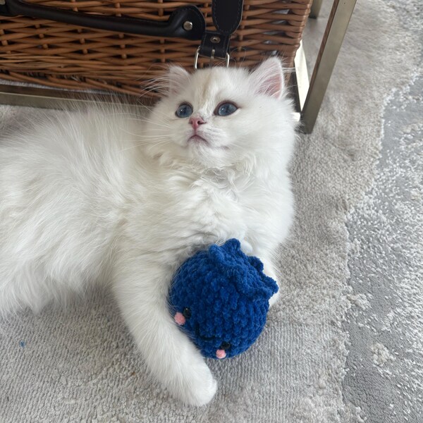 Blueberry Plush - Super Soft Cute Crochet Amigurumi - Cuddly Toy ...