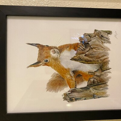 FOX Signed Print of a Watercolour Painting by Jan Taylor, Red Fox 2 - Etsy