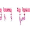 Personalized Hebrew Name ,hebrew Baby Naming, Hebrew Boy's Name, Hebrew ...
