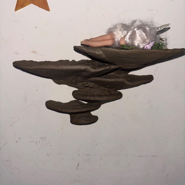 PLA Wood Mushroom Floating Shelves - the Trametes Fungus, Fungi Wall ...