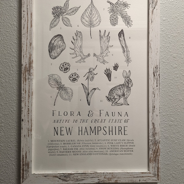 New Hampshire Wildlife Field Guide Print - NH Outdoors Flora Fauna Wall ...